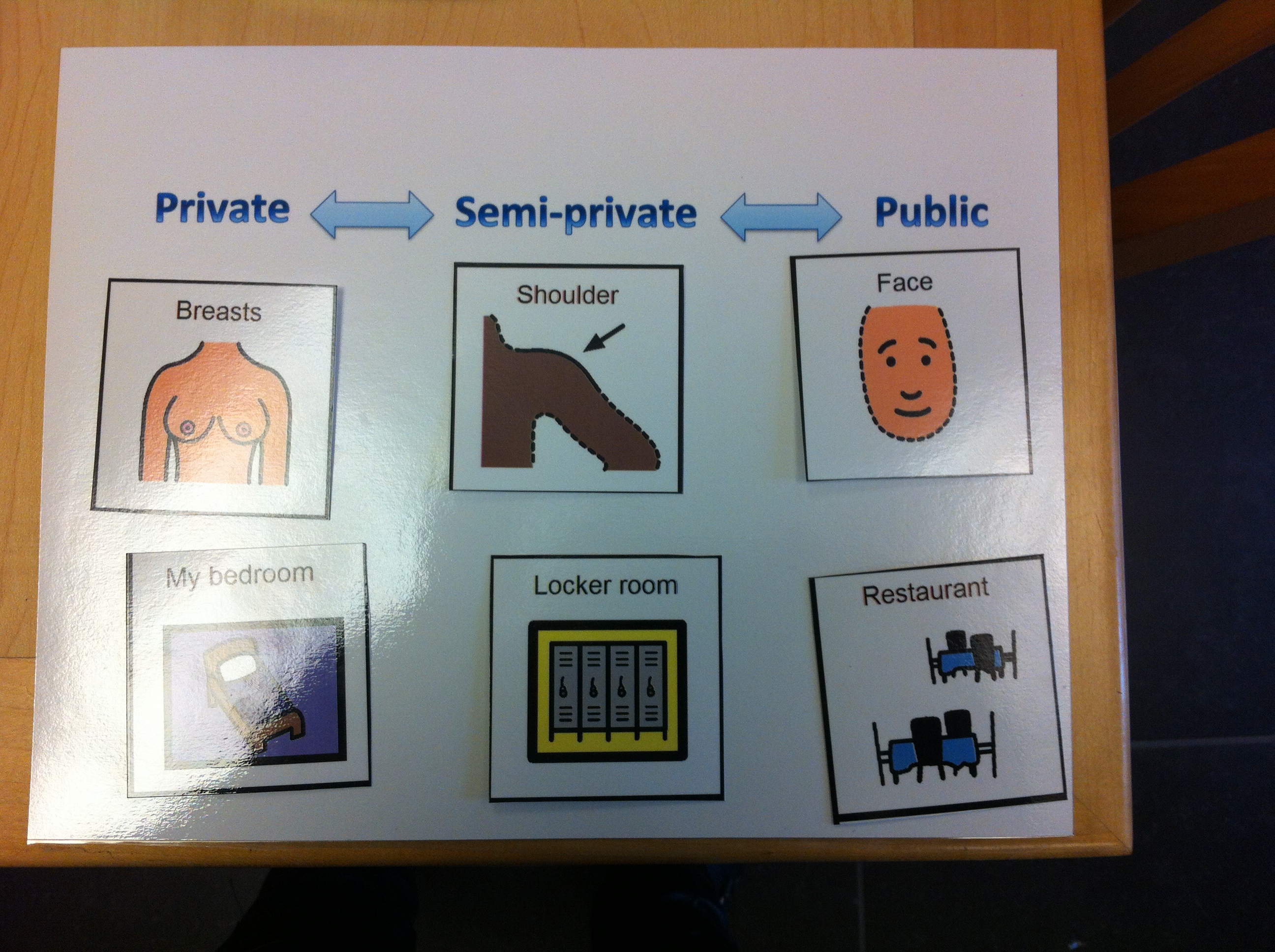 Privacy Activity | The Birds and The Bees